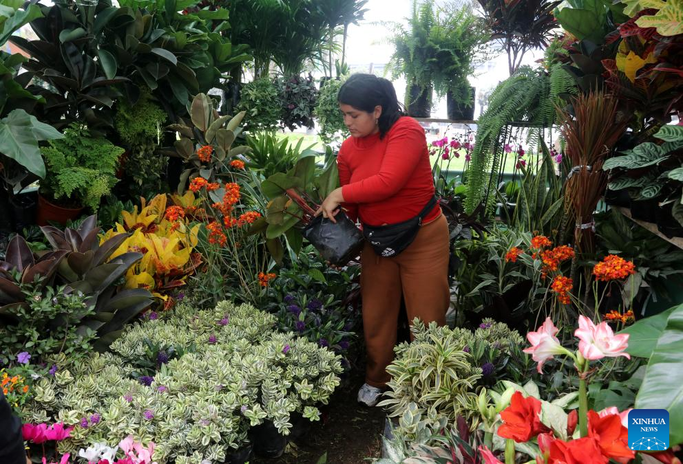 Especial: Peruanos disfrutan del mundo paisajístico en feria "Perú Flora 2025" | Spanish ...