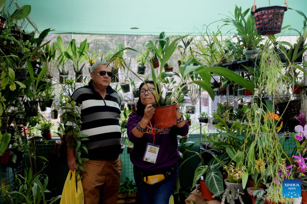Especial: Peruanos disfrutan del mundo paisajístico en feria "Perú ...