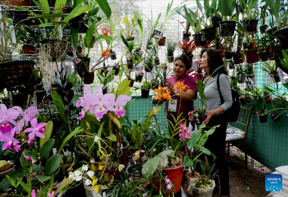 Especial: Peruanos disfrutan del mundo paisajístico en feria "Perú Flora 2025" | Spanish ...