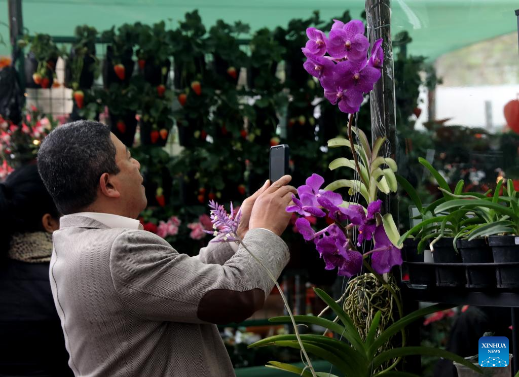Especial: Peruanos disfrutan del mundo paisajístico en feria "Perú Flora 2025" | Spanish ...