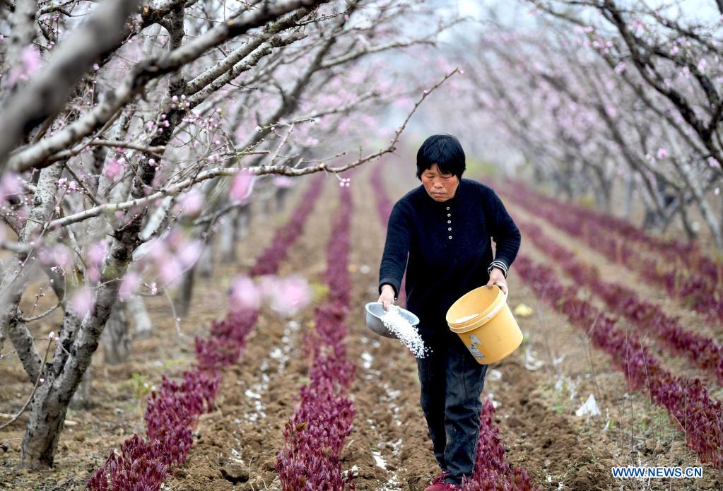Chunfen señala el inicio de uno de los períodos de agricultura más ...